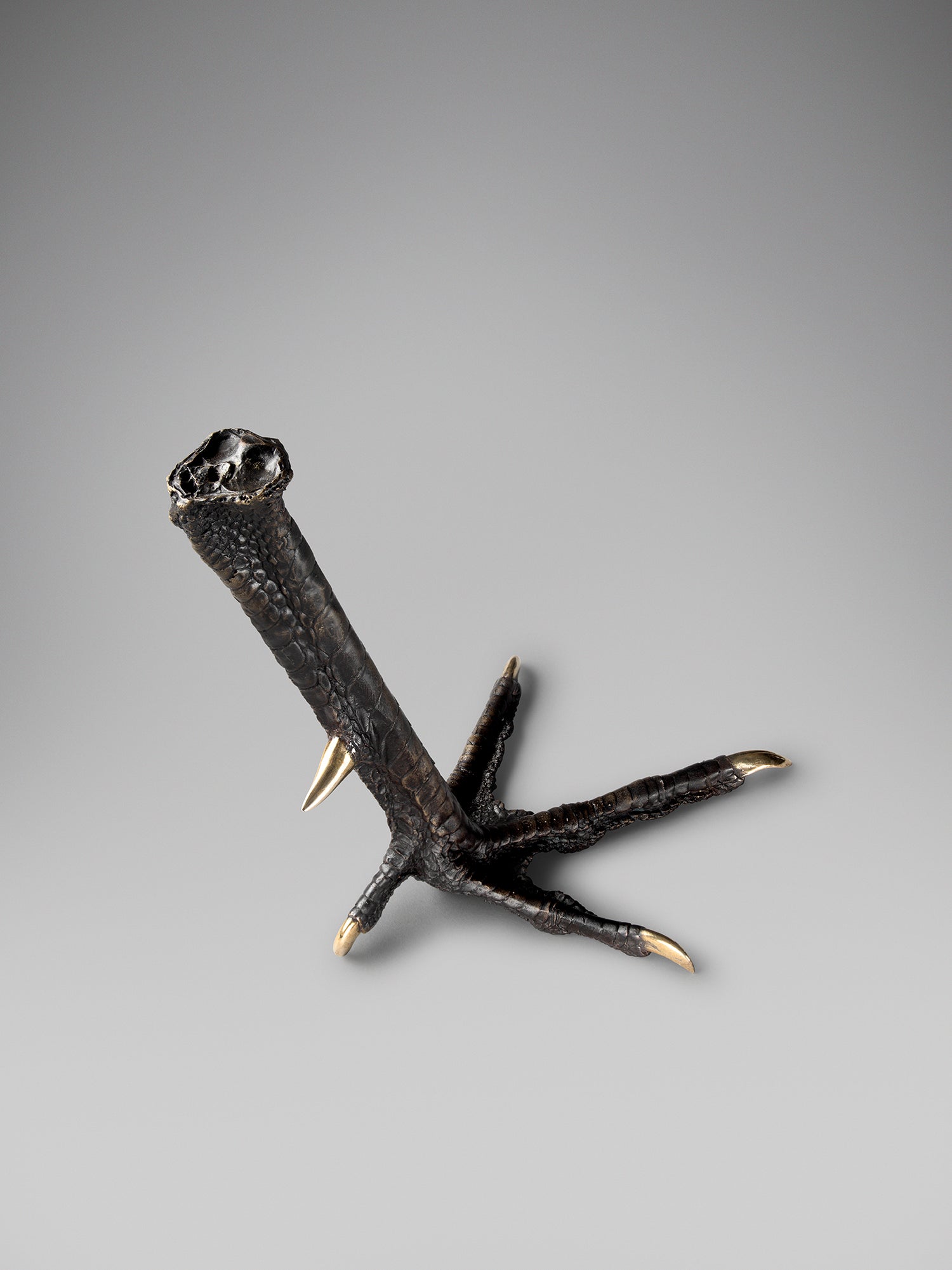 Bronze Sculpture of a Wild Turkey Claw | Handmade Homeware